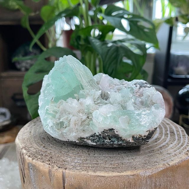 綠色大牙魚眼石共生沸石 | Crystal Cat