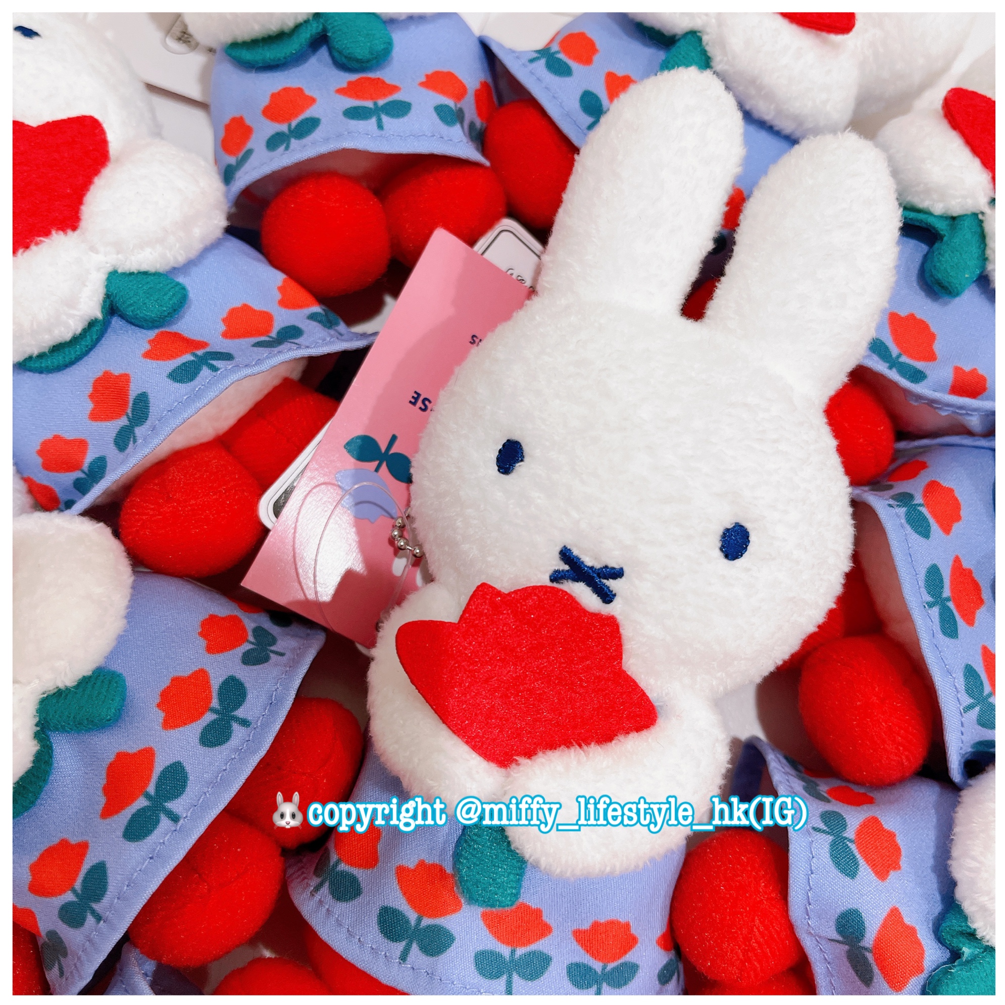 All products | Miss Miffy Shop Miffy Lifestyle HK