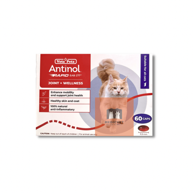 Antinol Rapid Cats 60caps | MedicVet Online Petmacy