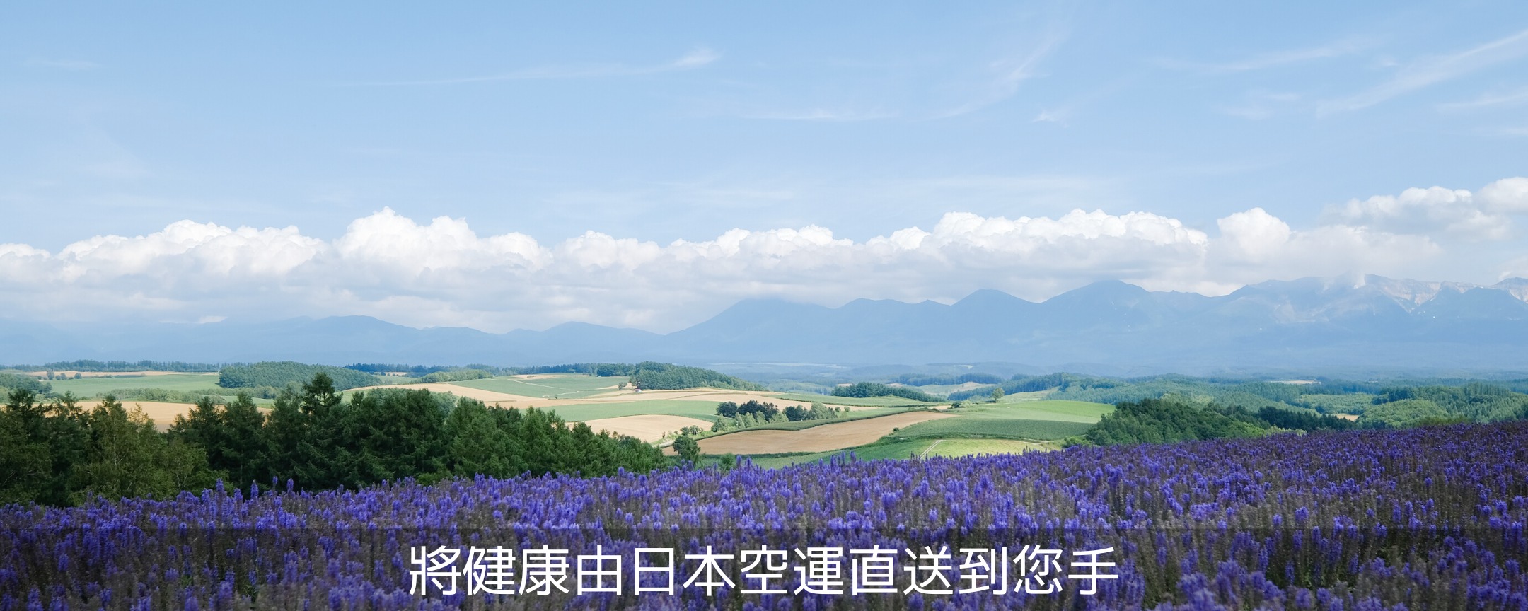 Duncan and Freeman Shop 徳平株式会社