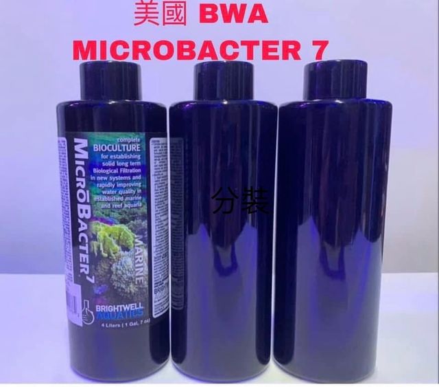 美國 BRIGHTWELL 7仔水 複合硝化菌種（MicroBacter7）500ml 散裝 | 魚樂大家