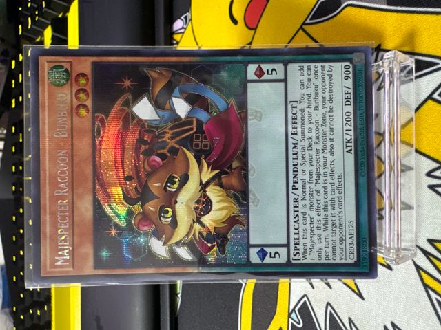 CR03-AE125 MAJESPECTER RACCOON - BUNBUKU | 恆龍玩具店