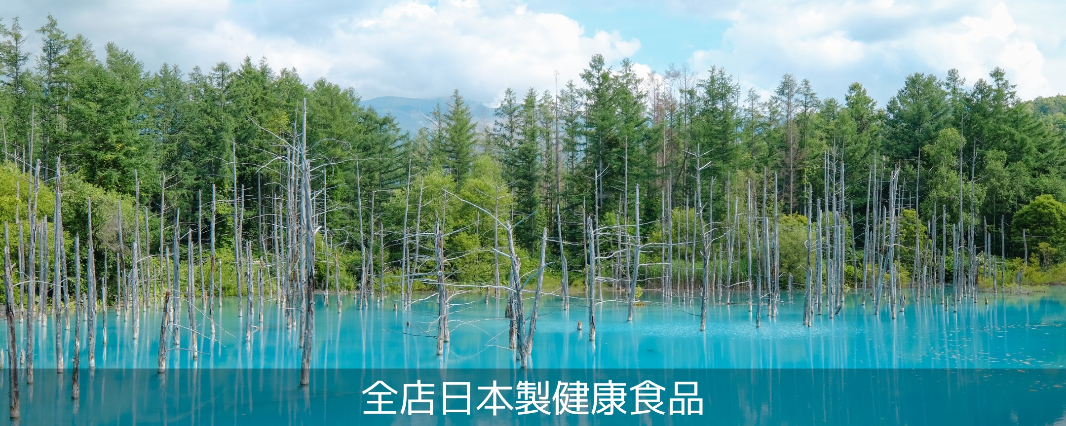 Duncan and Freeman Shop 徳平株式会社