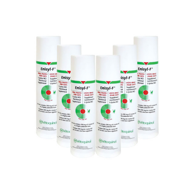 Vetoquinol L-Lysine Enisyl-F Oral Paste for Cats 100ml 貓用賴氨酸營養補充軟膏 ...