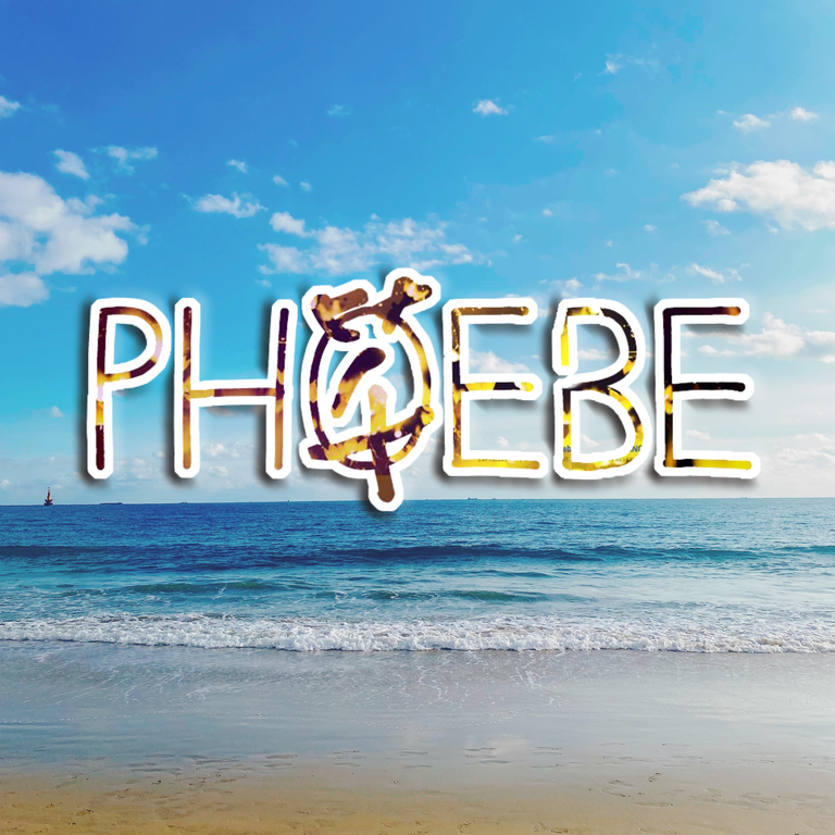 Phoebechin 韓國代購