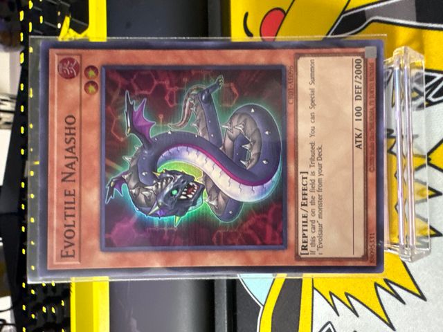 CR01-AE096 EVOLTILE NAJASHO | 恆龍玩具店