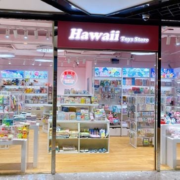 hawaiitoys