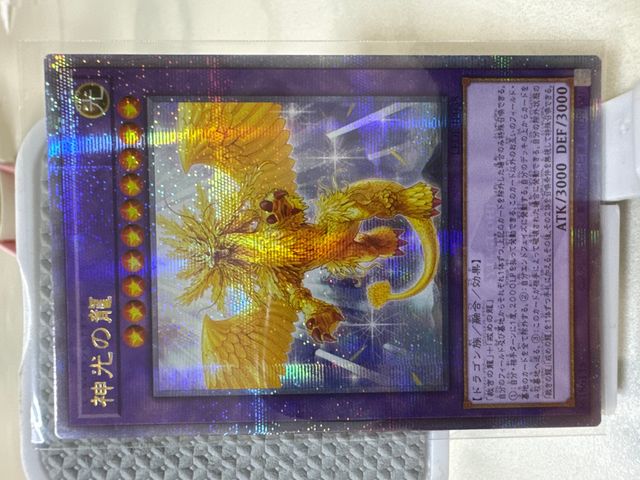 LEDE-JP038 神光の龍 | 恆龍玩具店