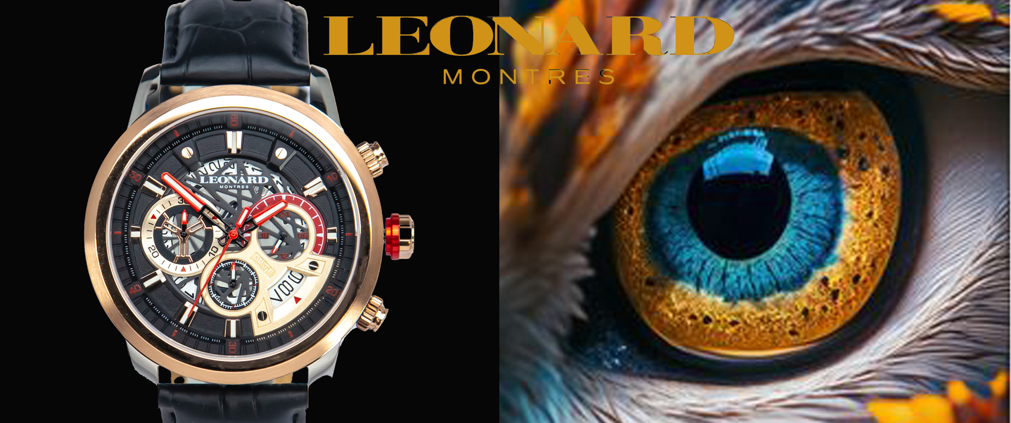 Success Ever Timepieces Ltd