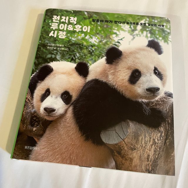 🈶現貨 Ruibao & Huibao 雙胞胎熊貓 全知睿輝視覺 寫真集 (전지적 루이&후이 시점) (宋爺爺新書 ...