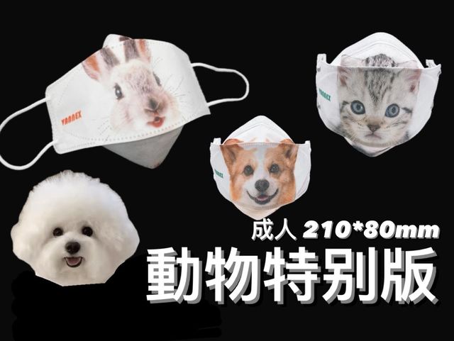 FL款 成人定位特別版 | Vannex Mask