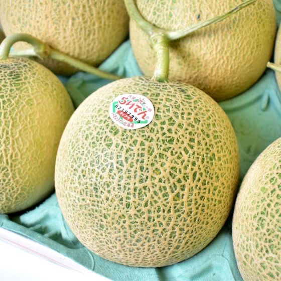 北海道雷電瓜 一個 Japan Hokkaido Raiden Melon 1pc | 街市姨姨