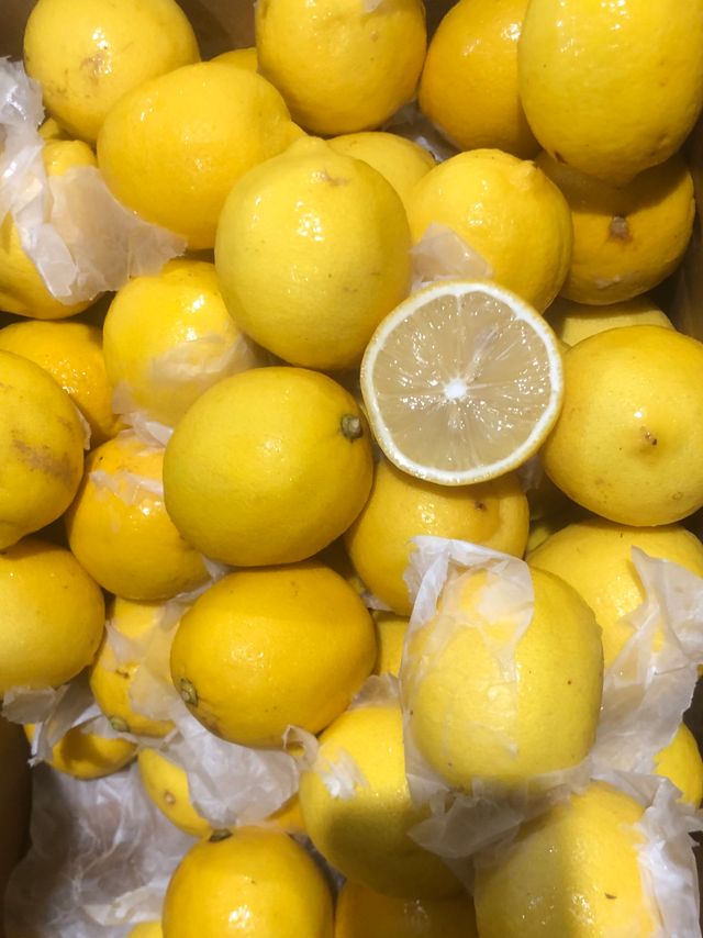南非檸檬 South Africa Lemon 4個 | CREAMeRY ave. 珈億精品．食品