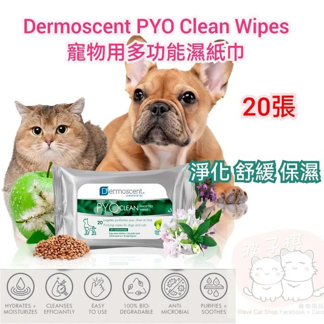 Dermoscent PYO Clean Wipes寵物用多功能濕紙巾 | 波子棋寵物用品商店
