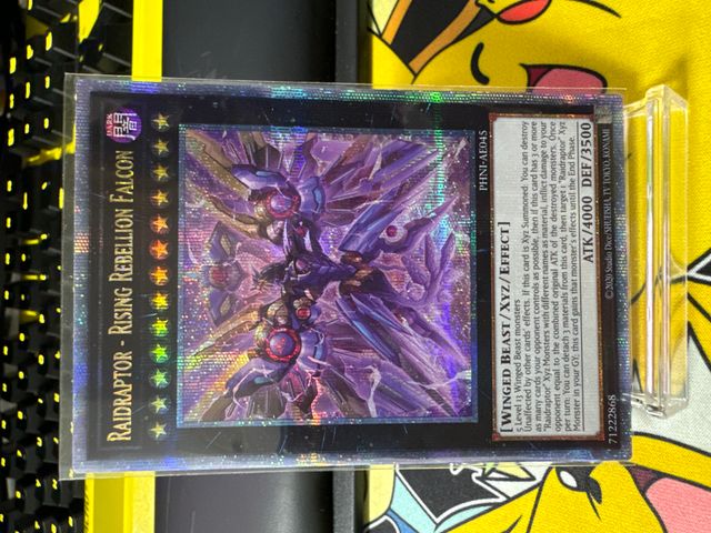 PHNI-AE045 RAIDRAPTOR - RISING REBELLION FALCON | 恆龍玩具店