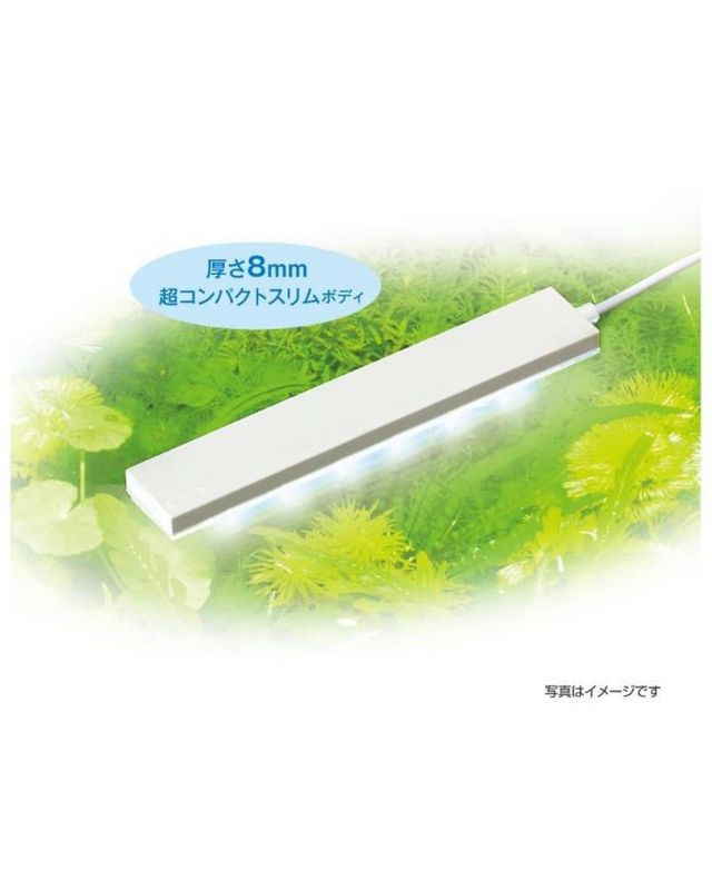 Gex Clear LED Flatty White 小巧、明亮、纖薄的高強度 LED | 海之森水族
